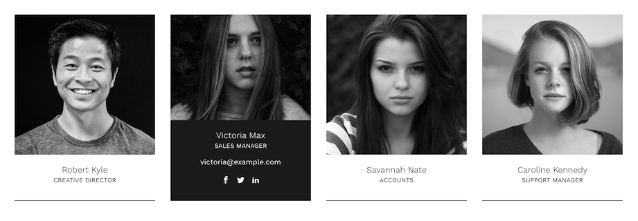 The Team Pro - Team Showcase WordPress Plugin by awsmin | CodeCanyon